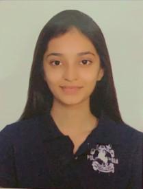 IPU Ranklist - Results of all colleges affiliated to GGSIPU since 2015 ...